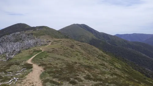 10 Best Hikes and Trails in Alpine National Park | AllTrails