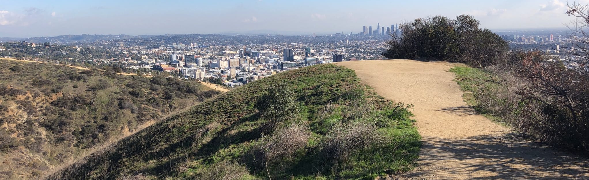 Runyon Canyon Trail, California - 7,795 Reviews, Map | AllTrails