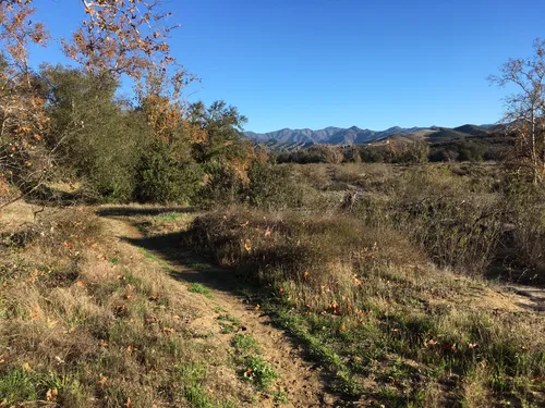 10 Best Hikes and Trails in Caspers Wilderness Park | AllTrails