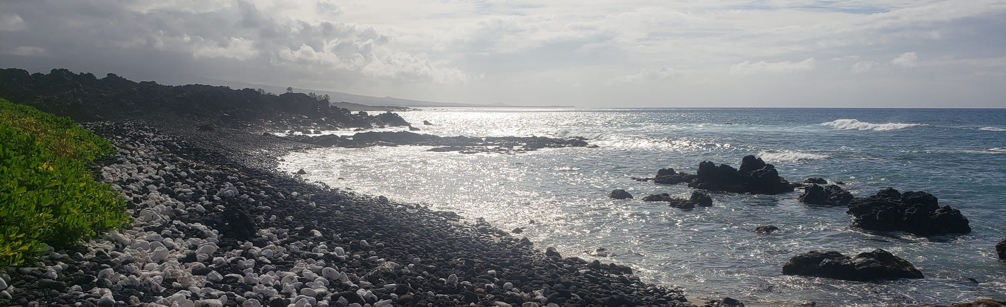 Queens Pond, Hawaii, Hawaii - 46 Reviews, Map | AllTrails