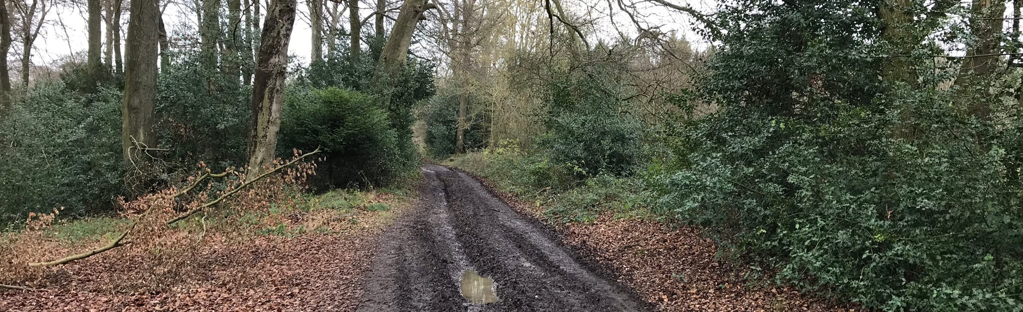 West Wycombe, Saunderton and Bradenham Circular, Buckinghamshire ...