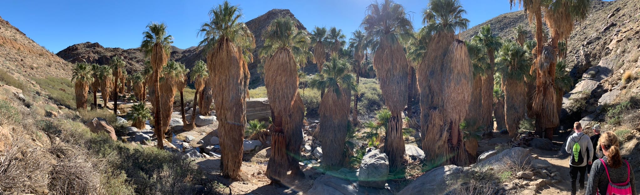 Victor Loop - California | AllTrails