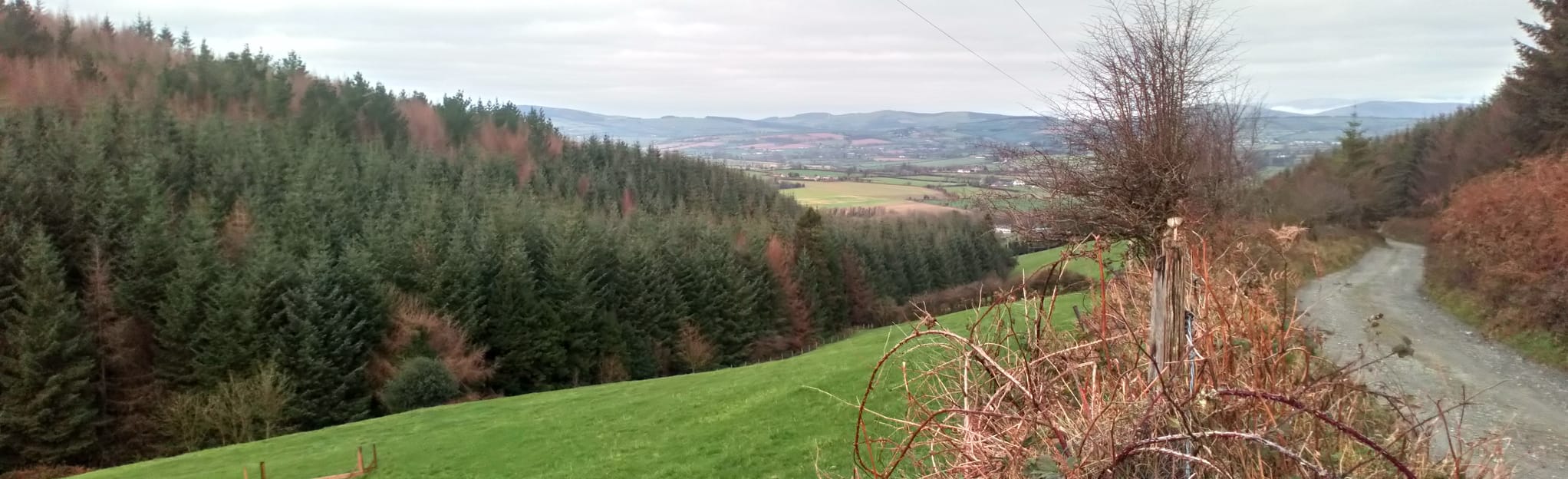 Slieveboy via Askamore: 32 Reviews, Map - County Wexford, Ireland ...