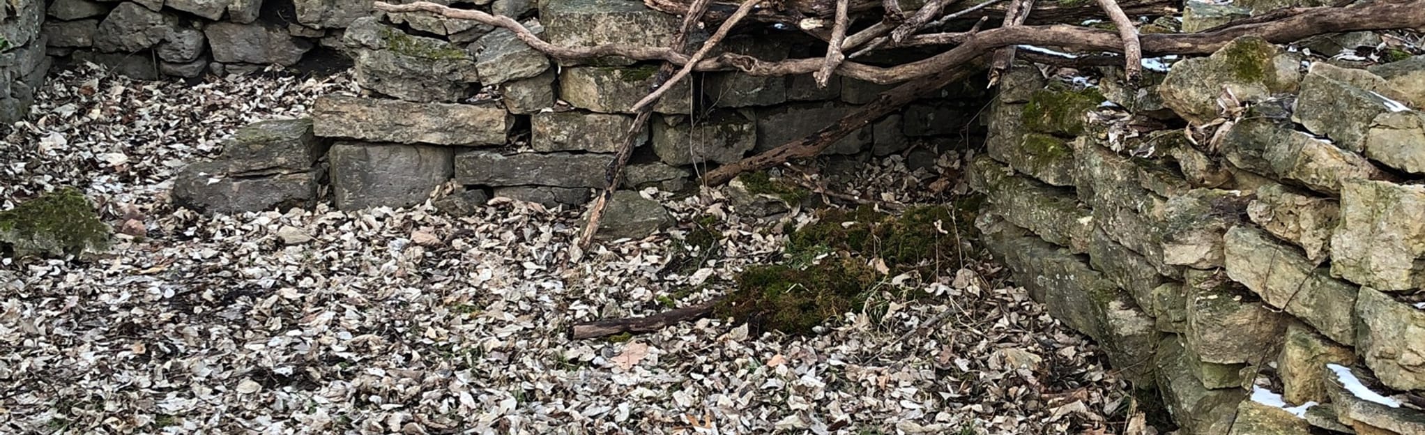 Lead Mine Foot Trail: 23 Reviews, Map - Iowa | AllTrails