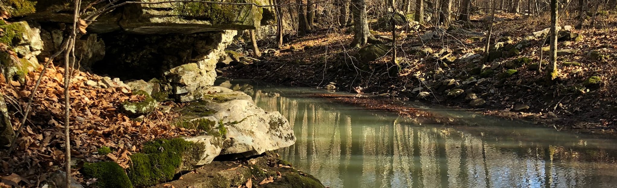 QuiVaLa Elise Falls Trail, 406 Photos - Arkansas | AllTrails