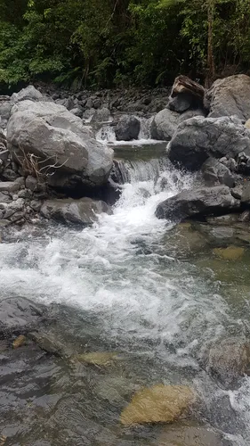 10 Best Hikes and Trails in Ruahine Forest Park | AllTrails