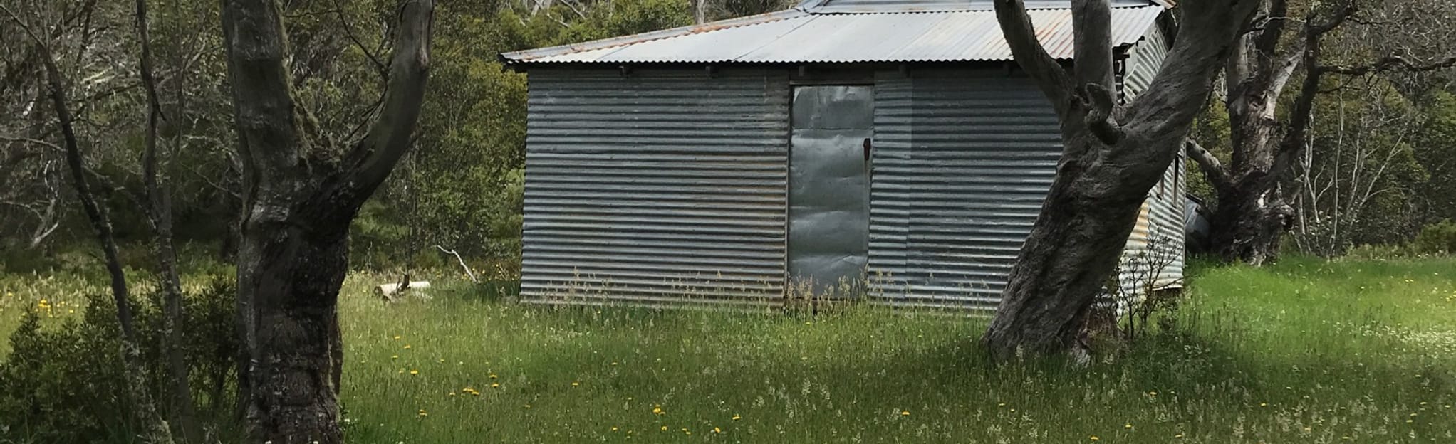 Faithfulls Hut via Buckety Plains Campground: 1 Reviews, Map - Victoria ...