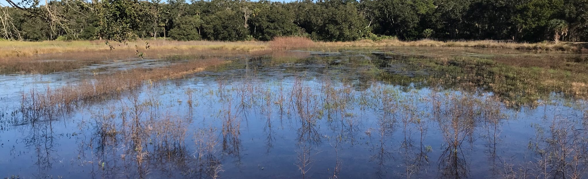 Guana Loop, Florida - 163 Reviews, Map | AllTrails
