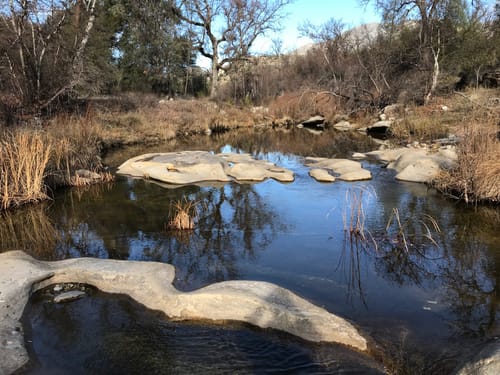 2023 Best Moderate Trails in Ventana Wilderness | AllTrails