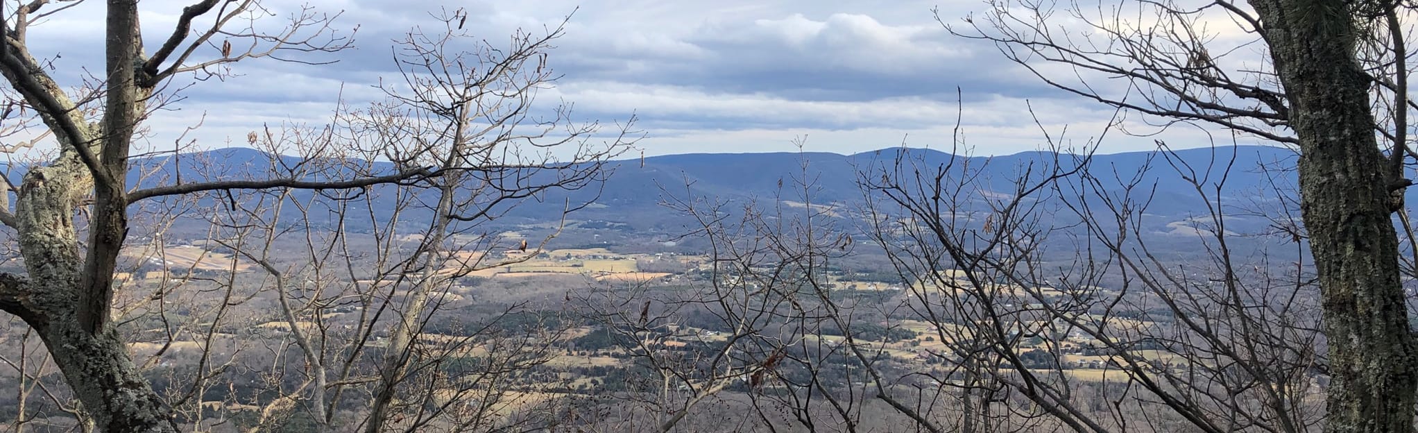 Buzzard Rock via Tuscarora Trail, Virginia - 156 Reviews, Map | AllTrails