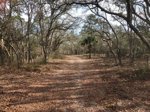 Best Hikes and Trails in Princess Place Preserve | AllTrails