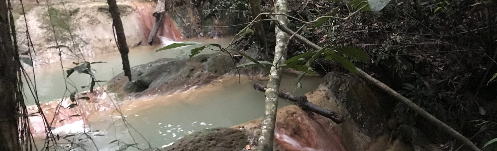 Bukit Jambu and Waterfall Trail: 4 Reviews, Map - Brunei and Muara ...