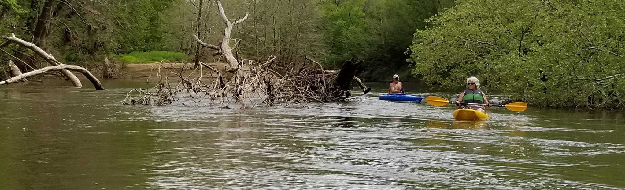 Big River Paddle Route: Washington State Park: 22 fotos - Missouri ...