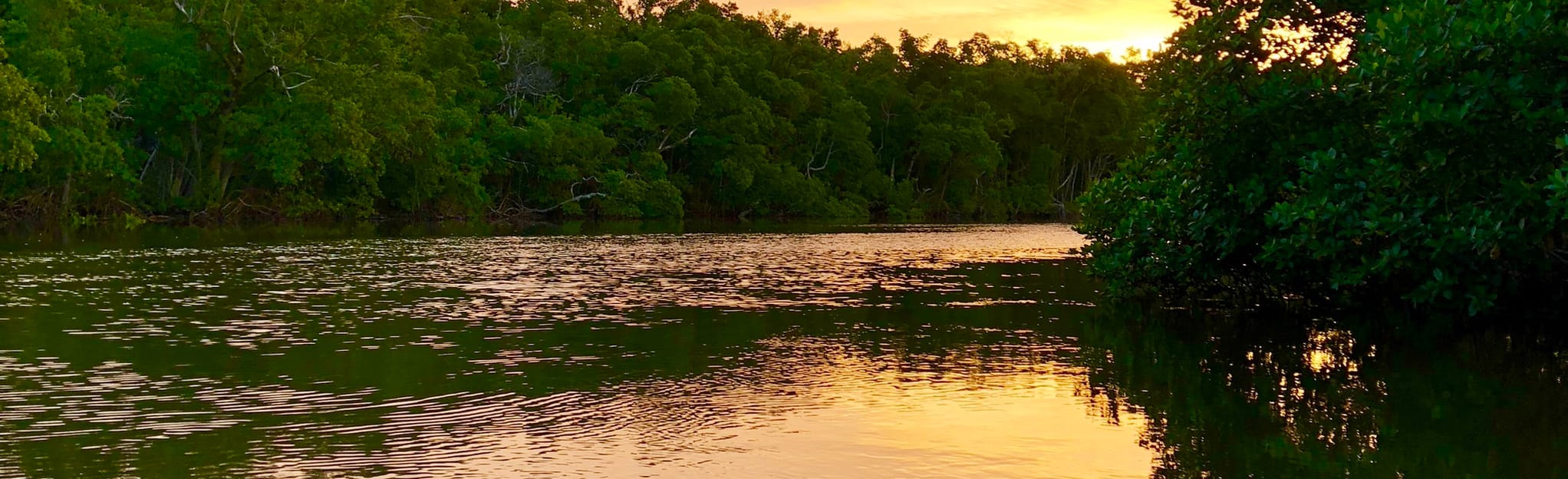 Wilderness Waterway Paddle Route | Map, Guide - Florida | AllTrails
