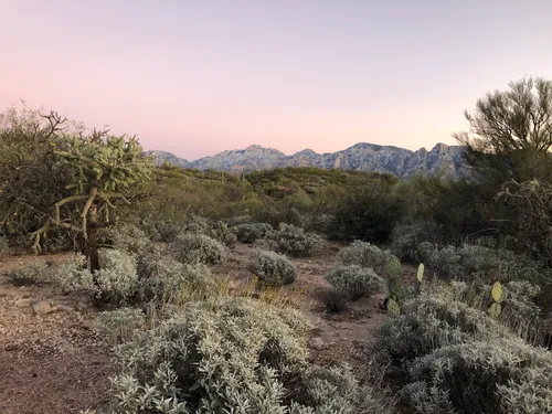 Best Hikes and Trails in Honey Bee Canyon Park | AllTrails