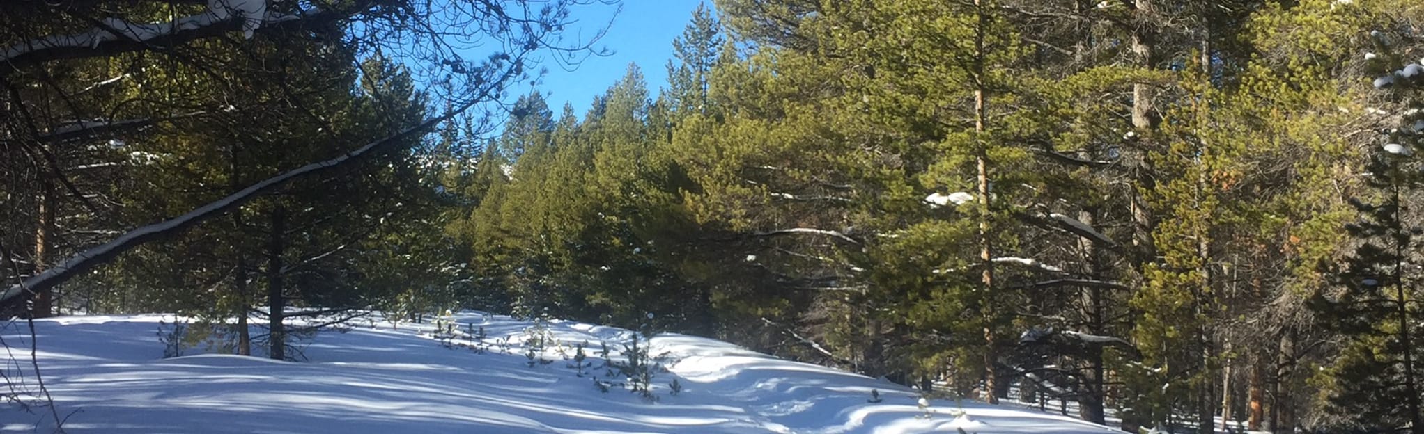 Powderhound Cross Country Ski Trail, Colorado - 51 Reviews, Map | AllTrails
