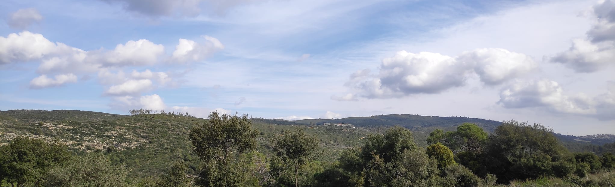 Yemin Orde to Nahal Oren, Haifa, Israel - 4 Reviews, Map | AllTrails