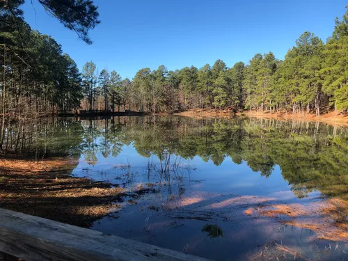 10 Best Trails and Hikes in Little Rock | AllTrails