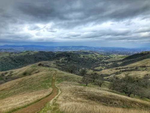 Best Mountain Biking Trails in Mount Diablo State Park | AllTrails