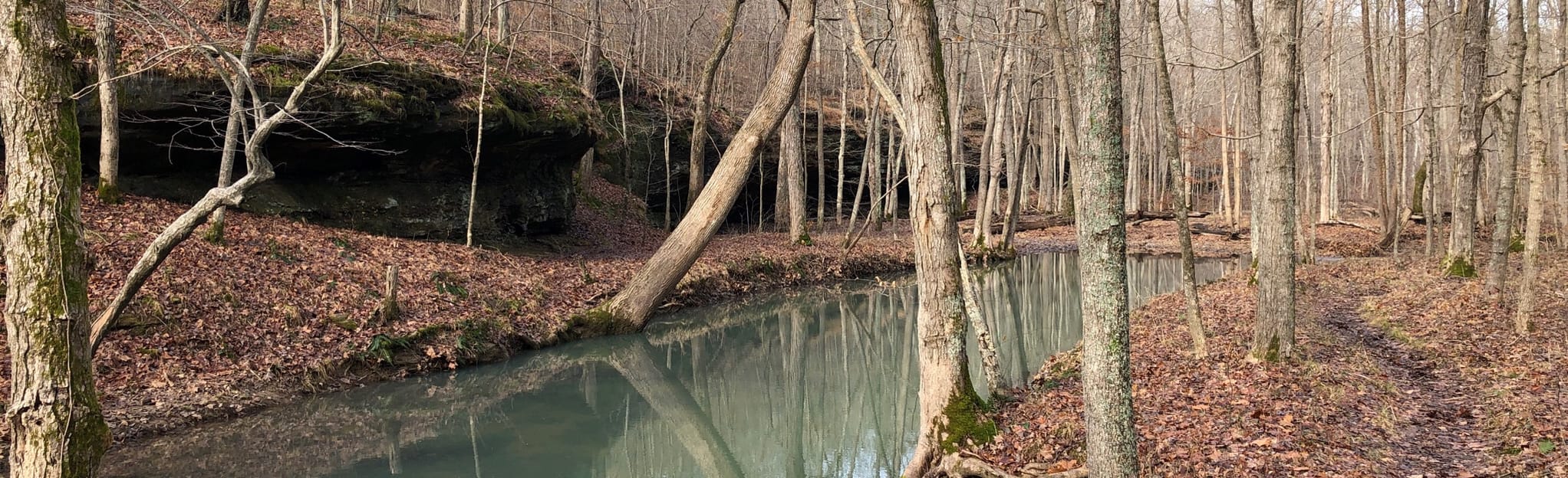 Panther Den Loop, Illinois - 839 Reviews, Map | AllTrails