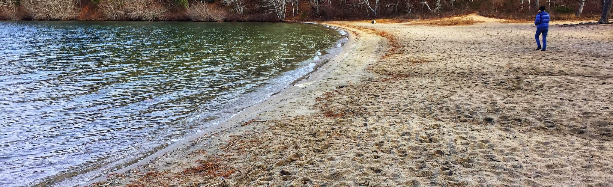 Cliff Pond and Little Cliff Pond Loop , Massachusetts - 58 Reviews, Map ...