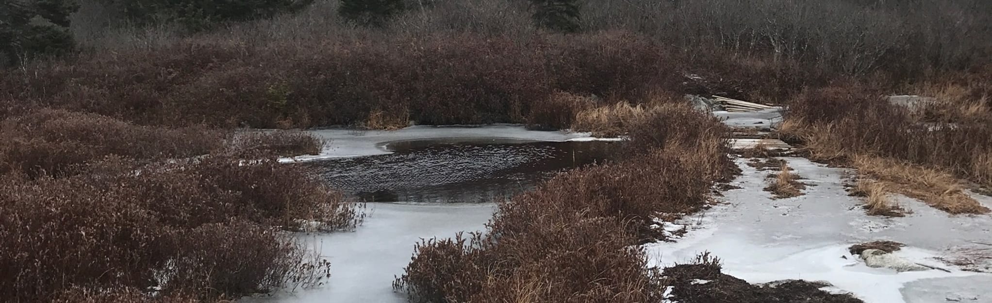 Jimmy's Pond Loop, Nova Scotia, Canada - 24 Reviews, Map | AllTrails