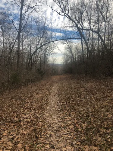 10 Best Trails and Hikes in Fayetteville | AllTrails