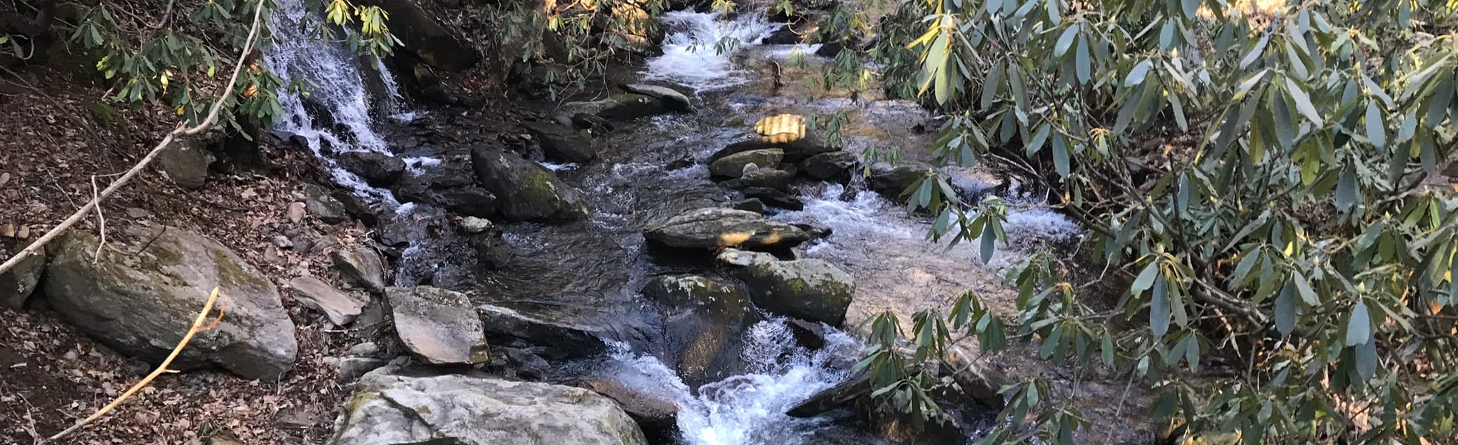 Graybeard, Harry Bryan, and Sanctuary Trail Loop, North Carolina ...