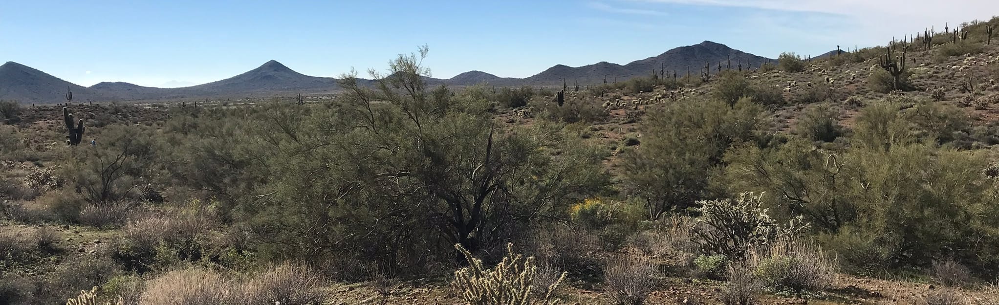 Apache Wash Loop Trail, Arizona - 1,811 Reviews, Map | AllTrails