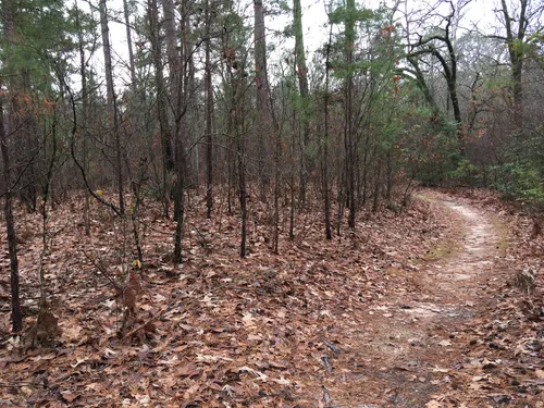 Best Hikes and Trails in Poison Springs Battleground State Park | AllTrails Best Hikes and Trails in Poison Springs Battleground State Park | AllTrails