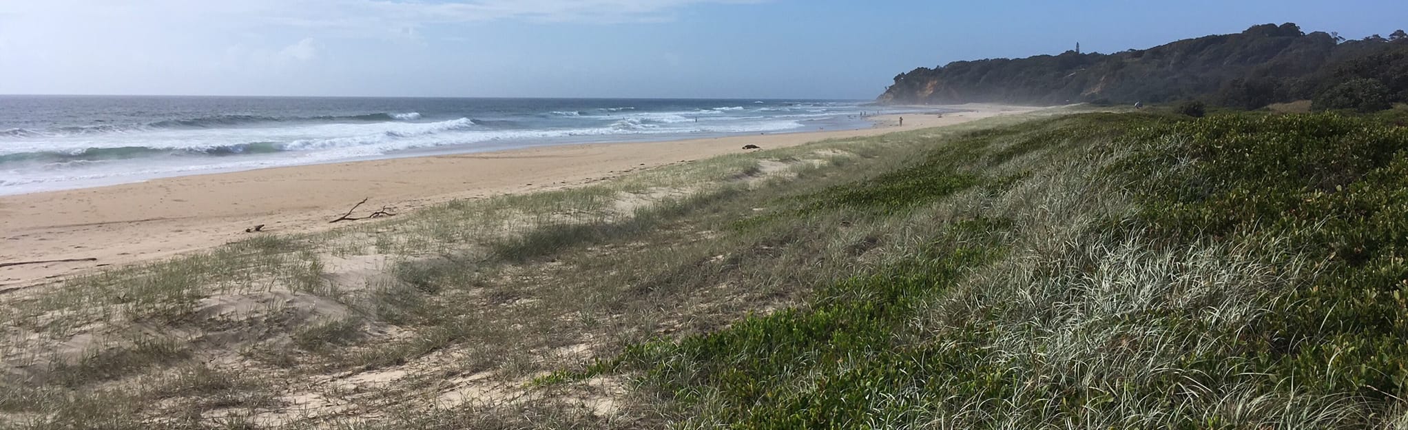 Mirral and Nunguu Trails Loop: 1 Reviews, Map - New South Wales ...