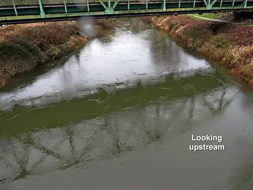 10 Best Trails and Hikes in Kent | AllTrails