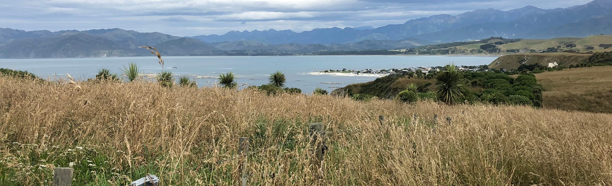 Kaikoura Peninsula Loop - Canterbury, New Zealand | AllTrails