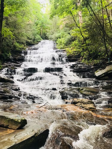 Best 10 Hikes and Trails in Chattahoochee-Oconee National Forest ...