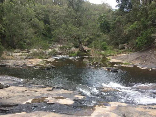 Best Hikes and Trails in Eungella National Park | AllTrails