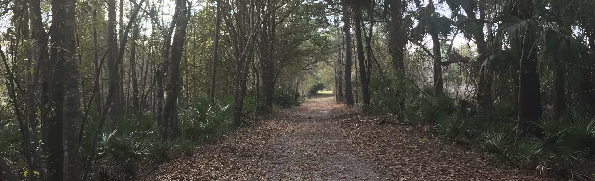 Flagler Trail: 9 Reviews, Map - Florida | AllTrails