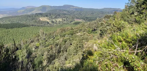 10 Best Trails and Hikes in Hogsback | AllTrails