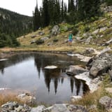 Bechler River Trail, Montana - 27 Reviews, Map | AllTrails