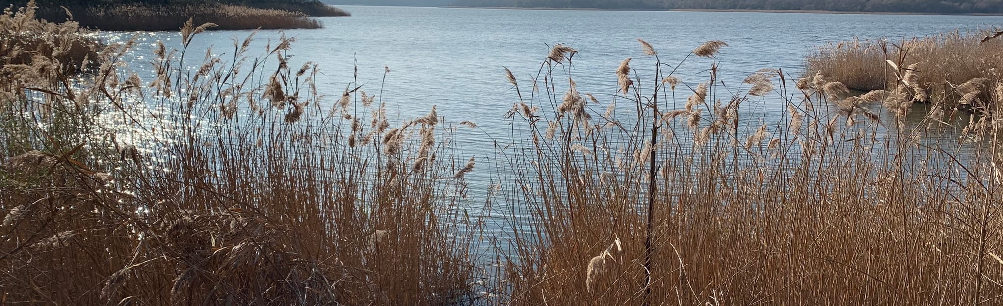Fairfield State Park North Loop [CLOSED], Texas - 216 Reviews, Map ...