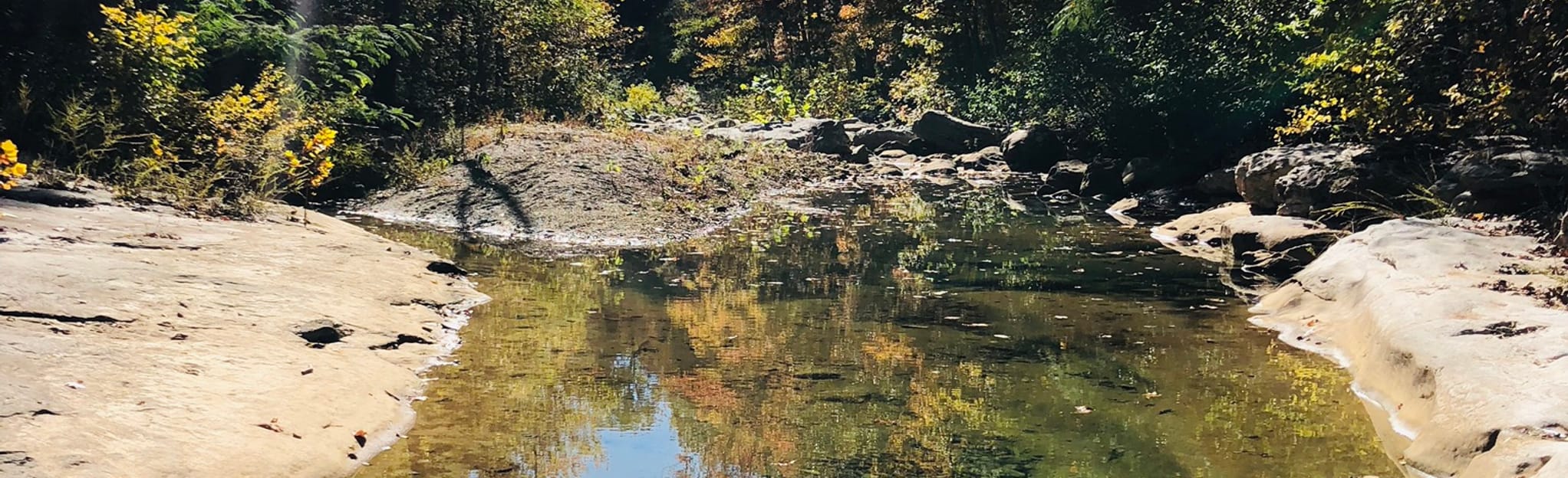 Cecil Cove Loop Trail, Arkansas - 142 Reviews, Map | AllTrails