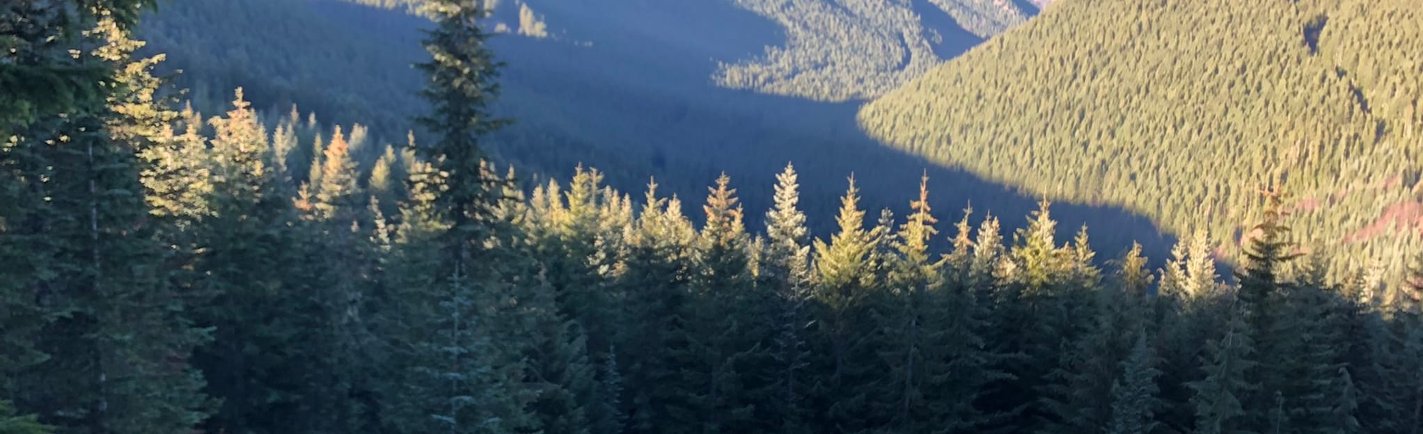 Pechuck Lookout [CLOSED]: 60 Reviews, Map - Oregon | AllTrails