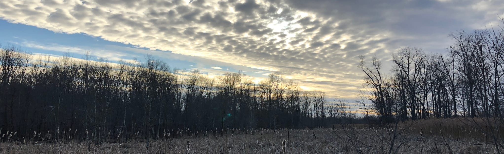 Great Swamp National Wildlife Refuge Orange Trail: 118 Reviews, Map ...