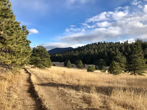 Best Long Trails in Elk Meadow Park | AllTrails