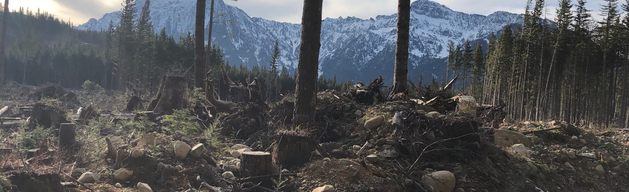 Reiter Hills OHV Loop: 51 Reviews, Map - Washington | AllTrails