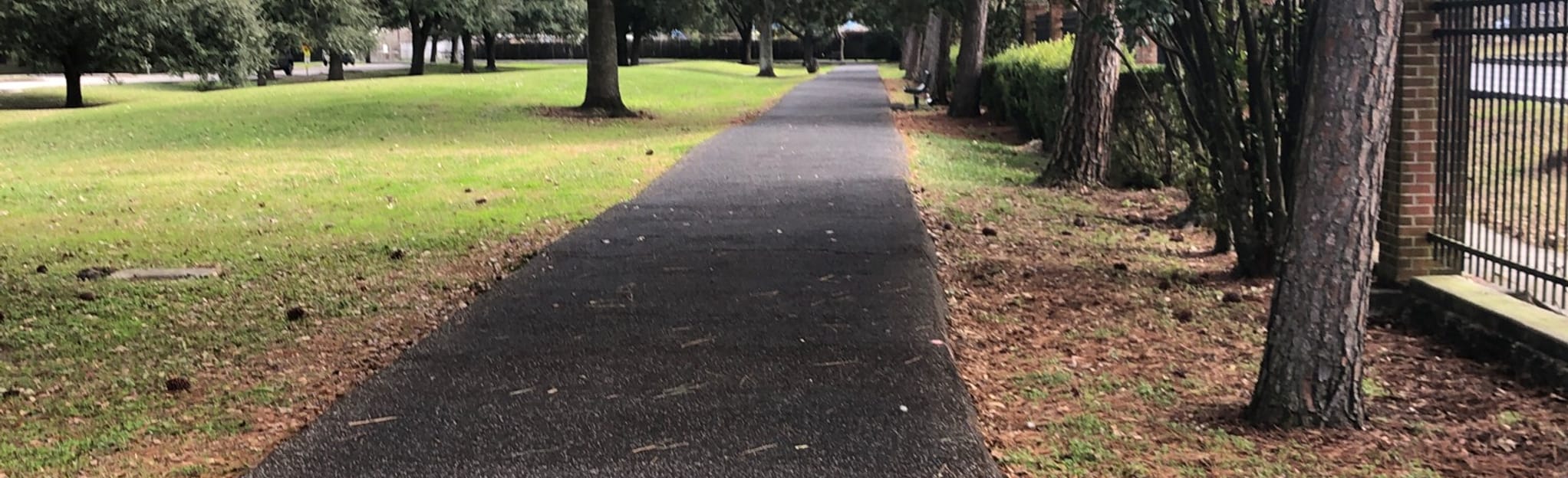 Lafreniere Park Loop, Louisiana - 116 Reviews, Map | AllTrails