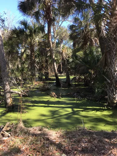 Best Hikes and Trails in Cape Romain National Wildlife Refuge | AllTrails