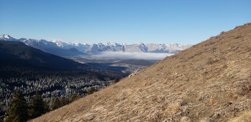 Best 10 Hikes and Trails in Sibbald Lake Provincial Recreation Area ...