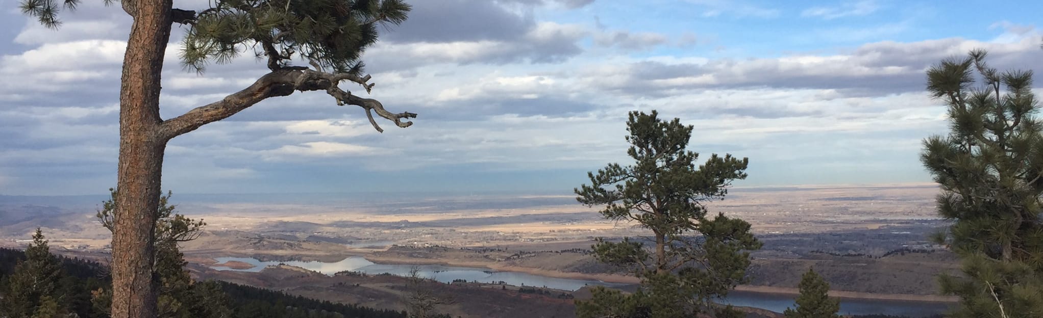 Stout Loop via Swan Johnson Trail | Map, Guide - Colorado | AllTrails
