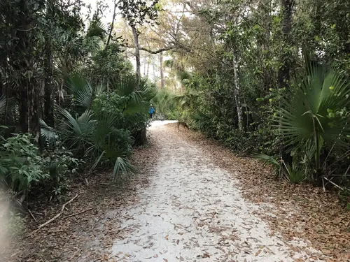 10 Best Trails and Hikes in Jupiter | AllTrails