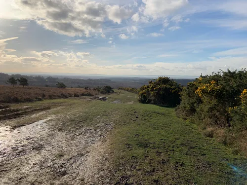 Best Hikes and Trails in Ashdown Forest | AllTrails